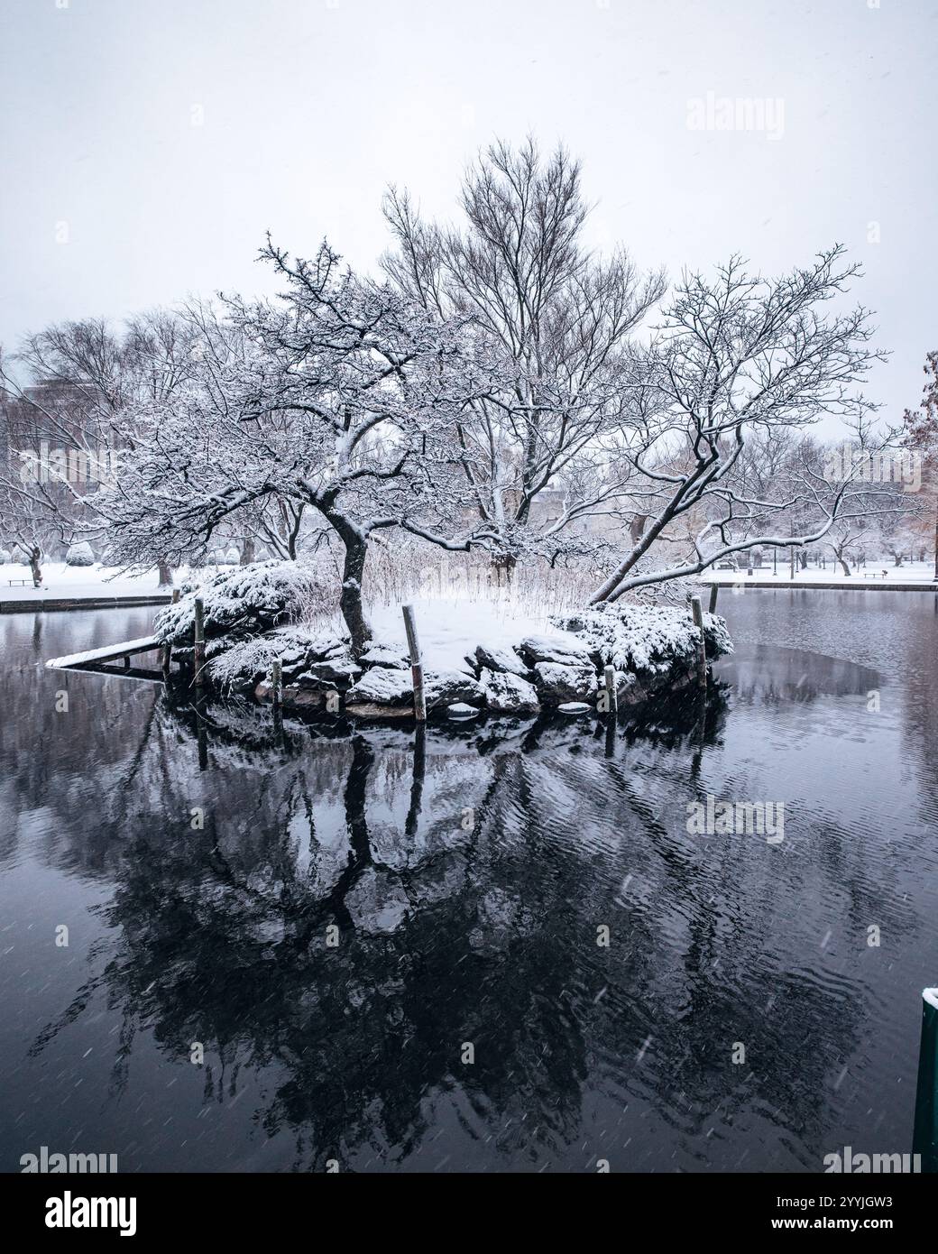 Boston Public Garden Pond Islet on a snowy day Stock Photo - Alamy