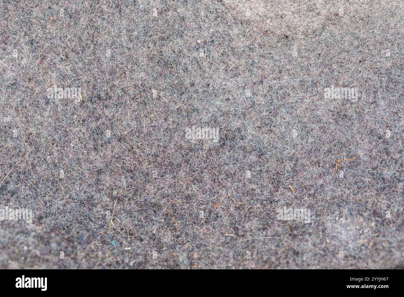 Micro shot fibers in hi-res stock photography and images - Alamy