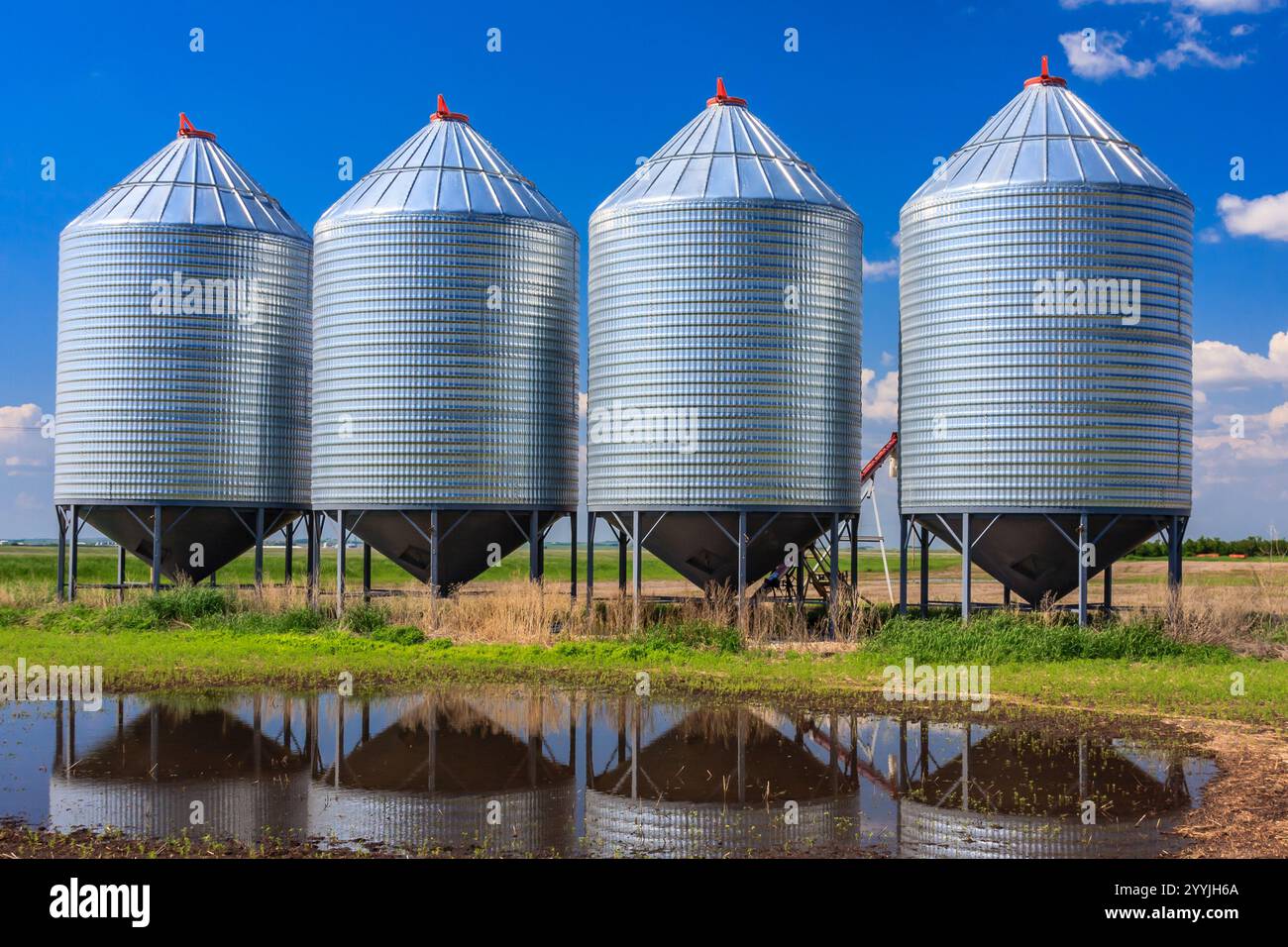 Four silos are lined up in a field. The silos are silver and are filled ...
