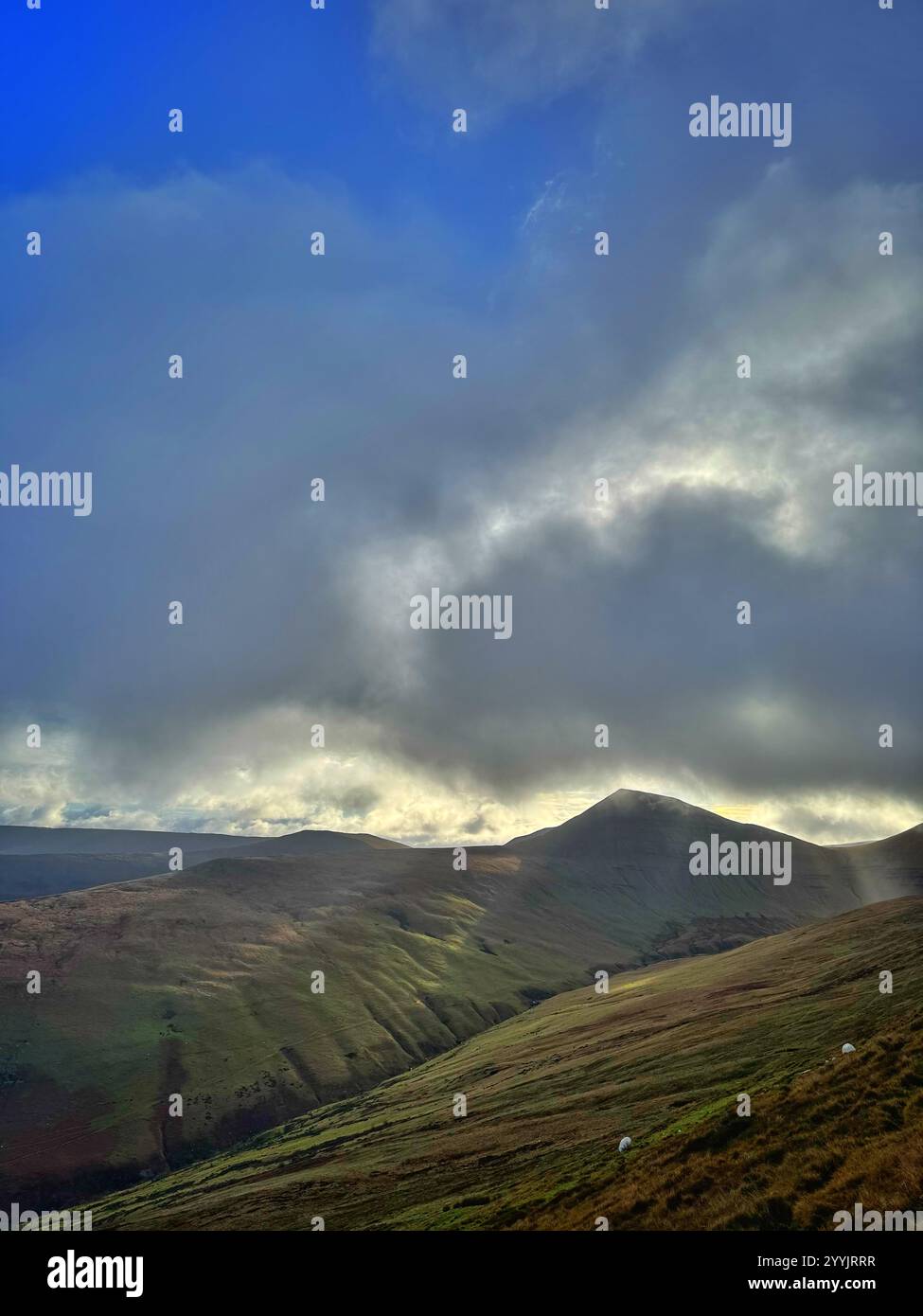 Cribyn mountain, Bannau Brycheiniog (Brecon Beacons), Autumn Stock ...