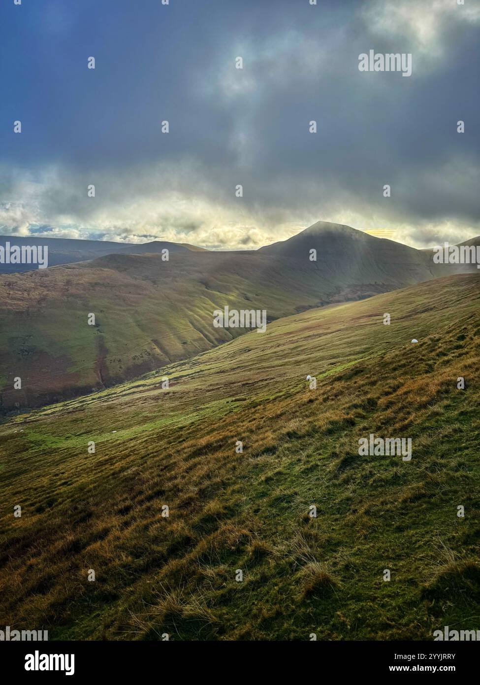 Cribyn mountain, Bannau Brycheiniog (Brecon Beacons), Autumn Stock ...