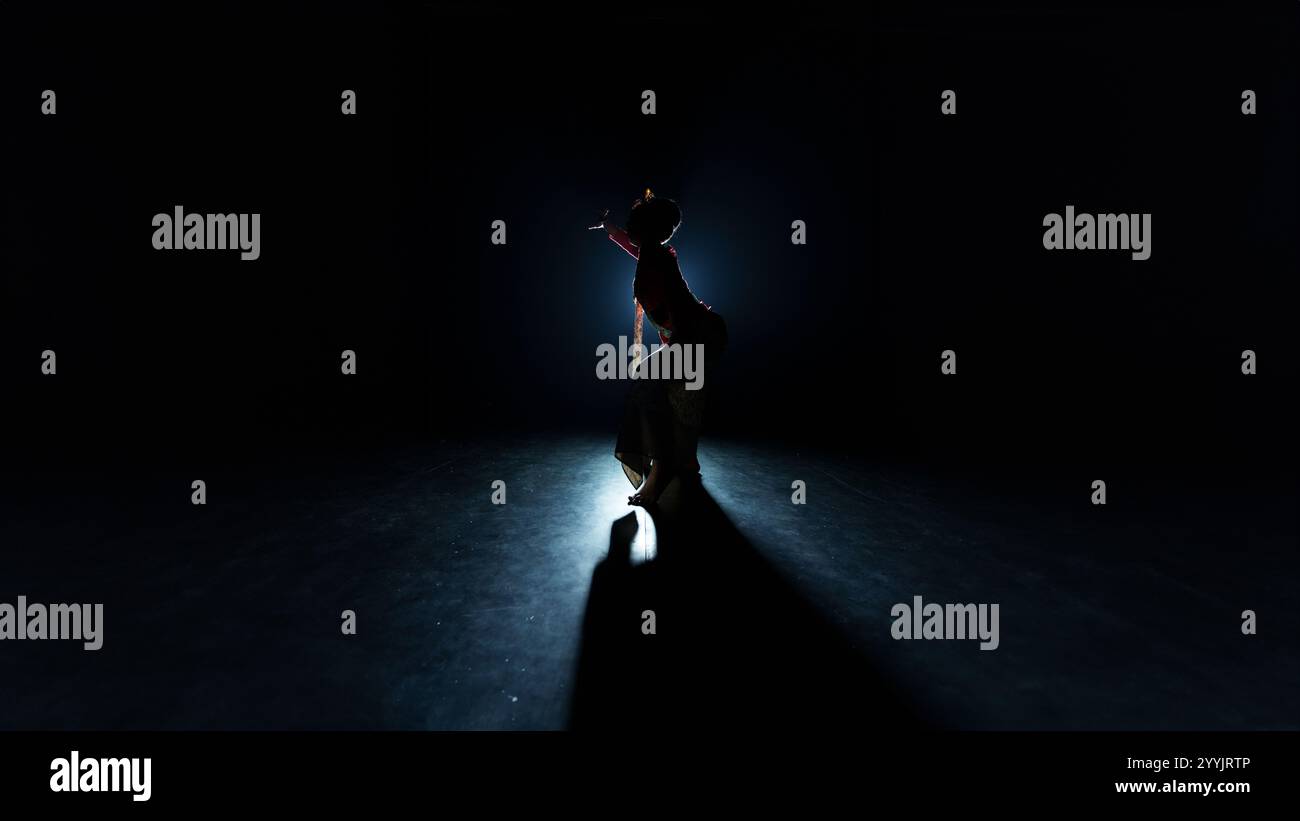 the silhouette of a female dancer shows the contours of her body with ...