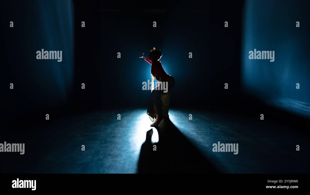 the silhouette of a female dancer shows the contours of her body with ...