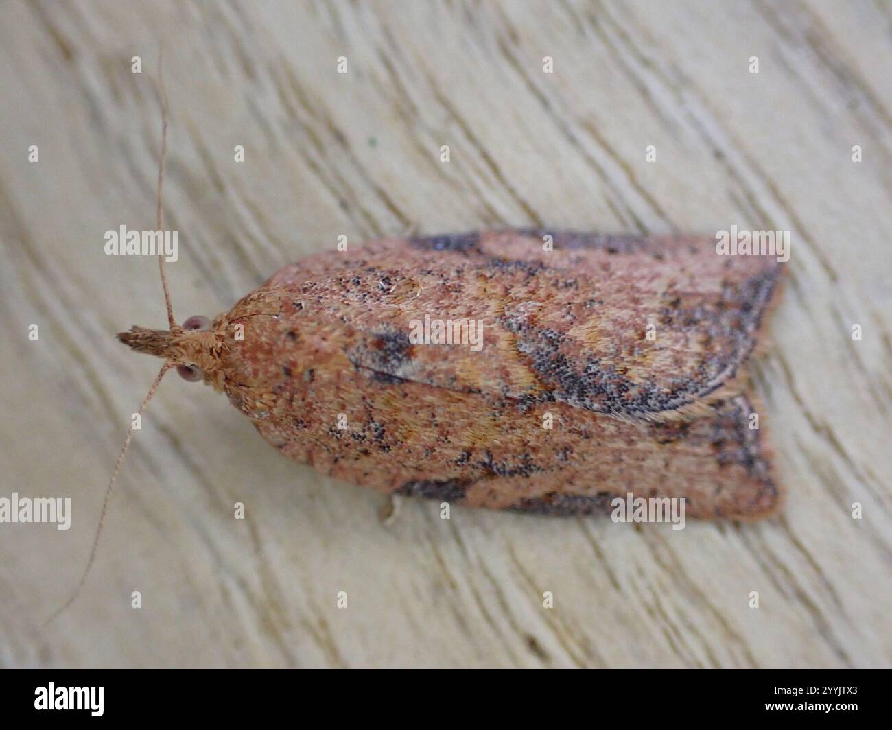 Postvittana hi-res stock photography and images - Alamy
