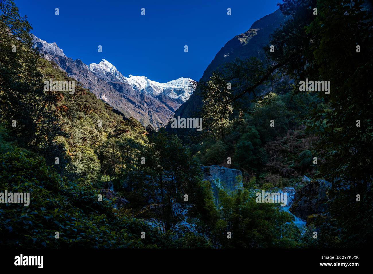 First Glimpse of Himalayan mountains seen during day 3 trek of Lama ...