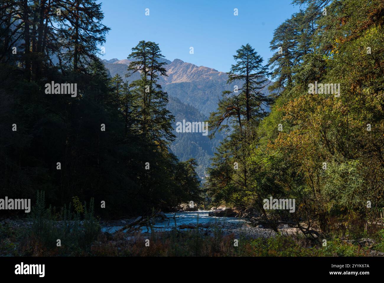 Trekking in Nepal Lama Hotel To Langtang Village in Rasuwa of Nepal ...