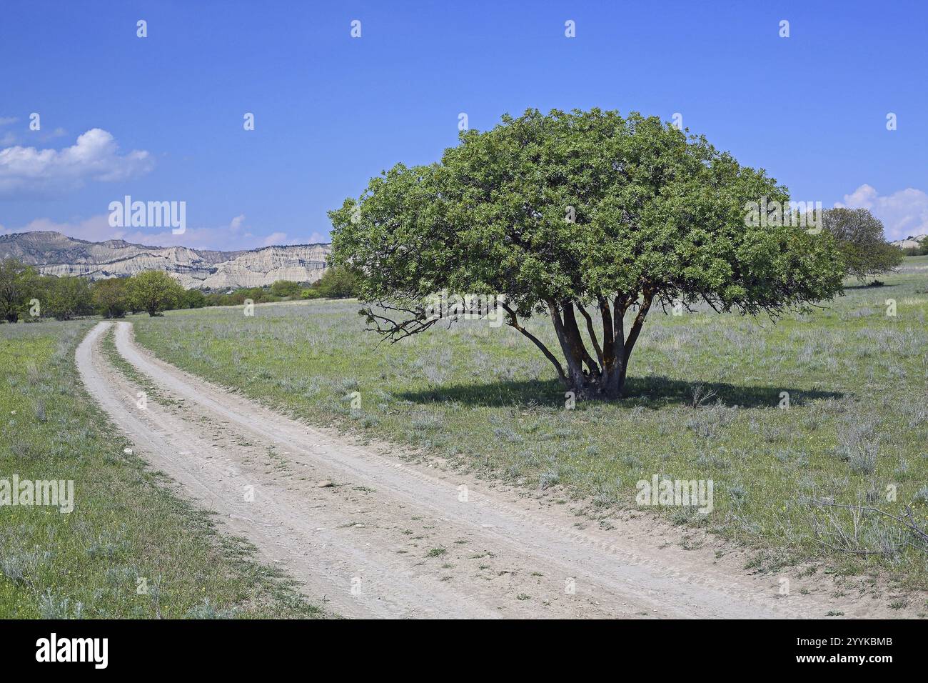 Vashlovani National Park, Georgia, Asia Stock Photo - Alamy