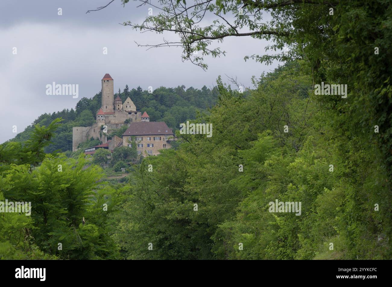 View of Hornberg Castle near Neckarzimmern, Neckar valley, Neckar ...