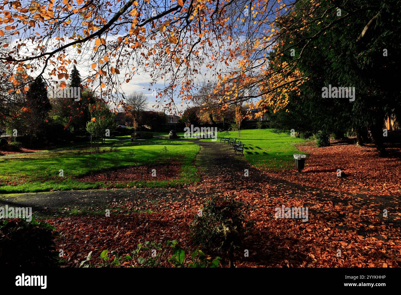 Autumn view over Bishops Gardens, Peterborough City, Cambridgeshire ...