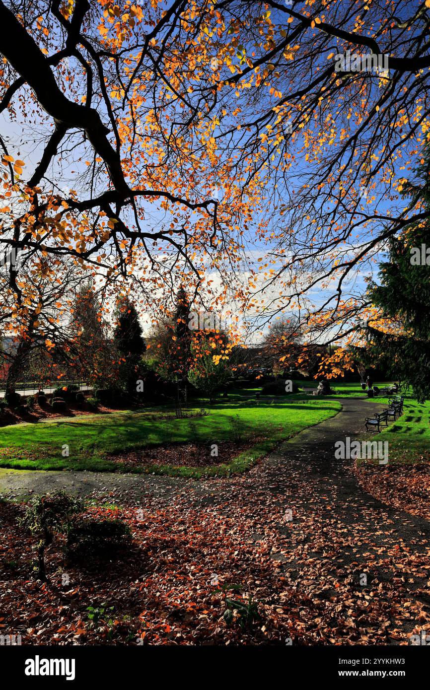 Autumn view over Bishops Gardens, Peterborough City, Cambridgeshire ...