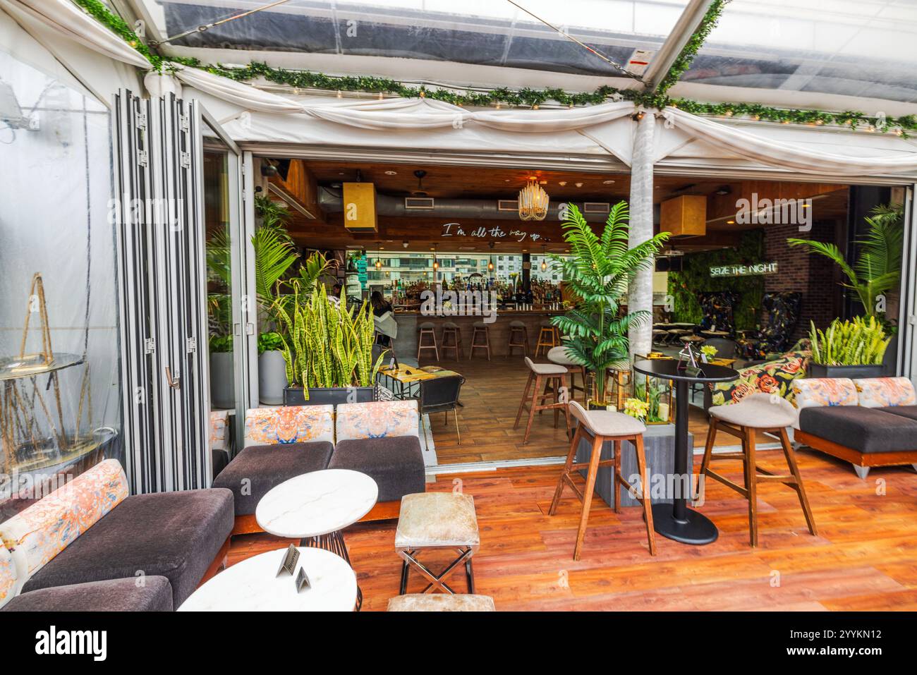 Modern rooftop bar with tropical plants, stylish seating and open ...