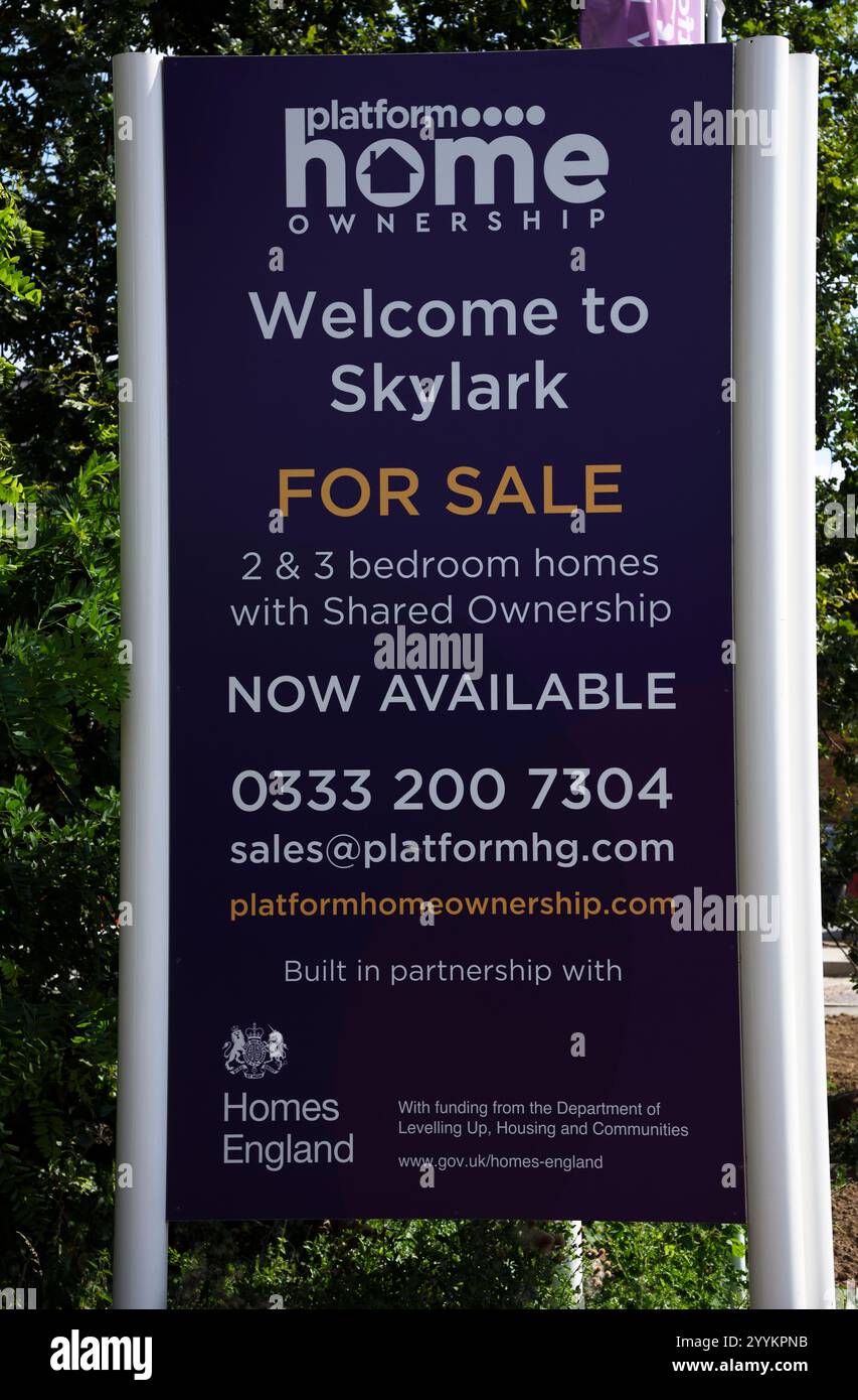 Shared ownership homes for sale sign Stock Photo - Alamy