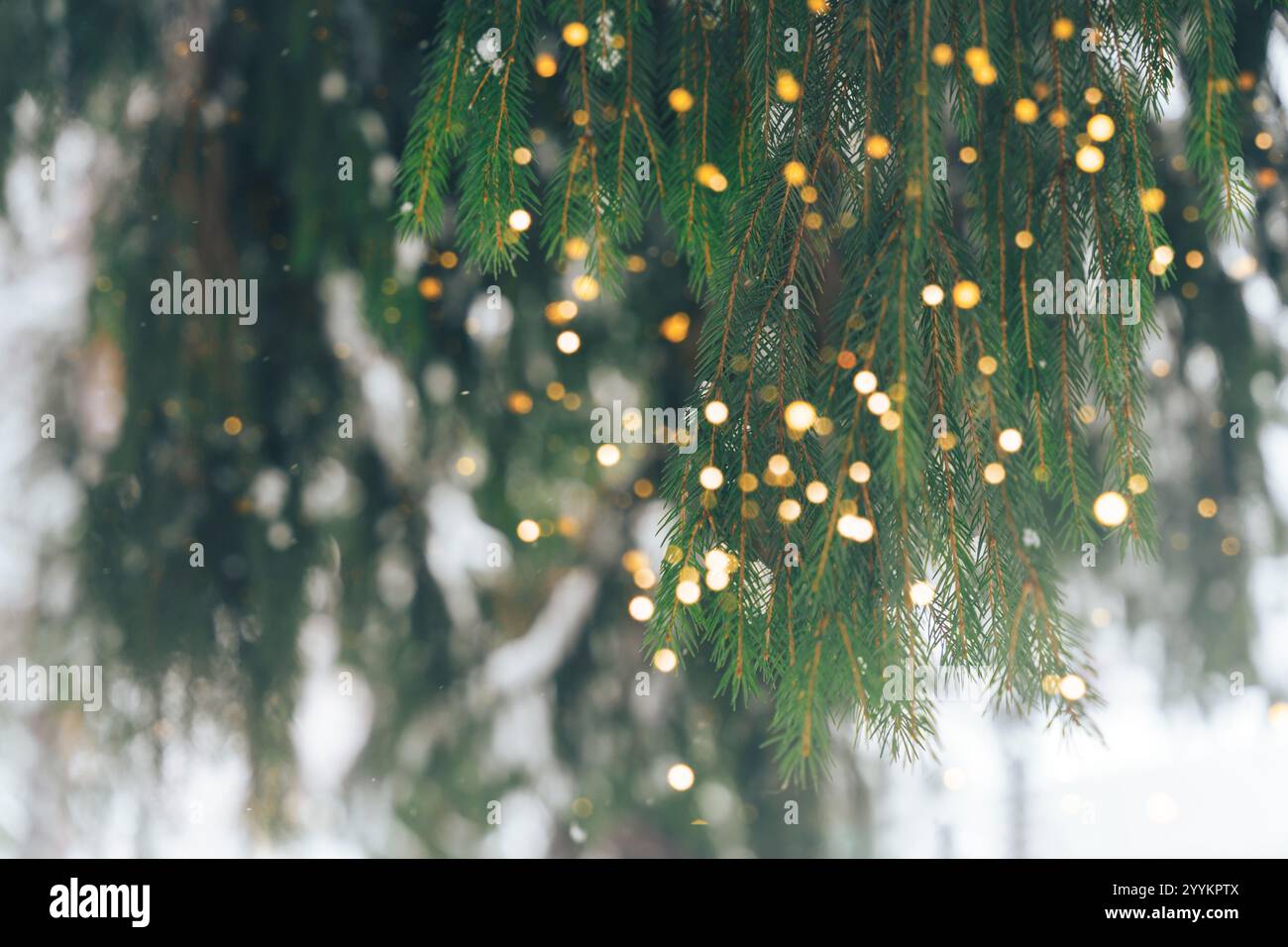 Christmas tree outdoor with lights and snow Stock Photo - Alamy