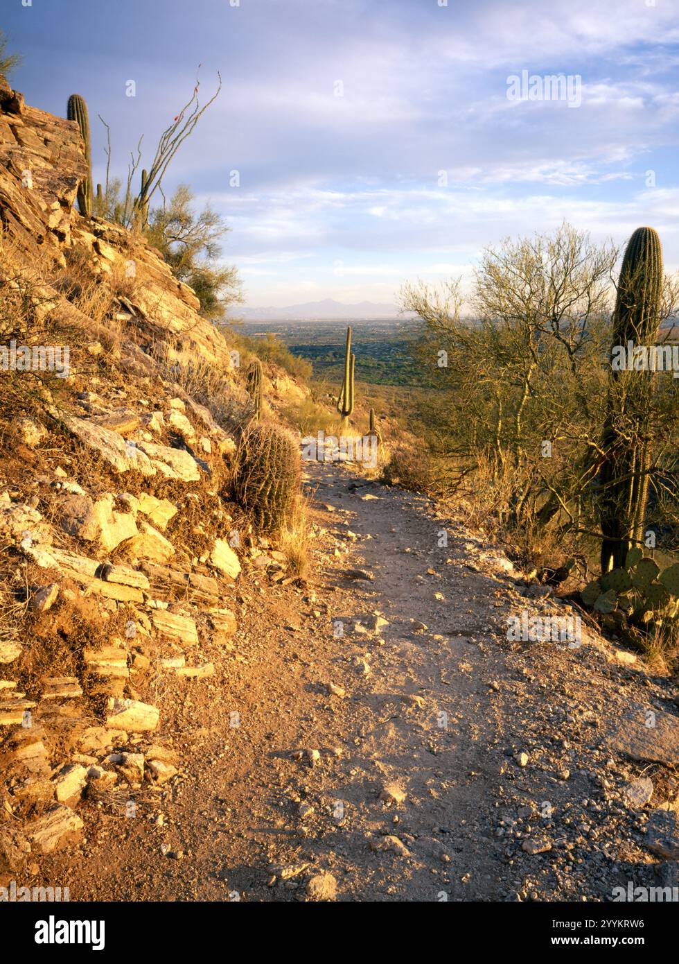 The Phone line trail is a popular hiking destination in Sabina Canyon ...