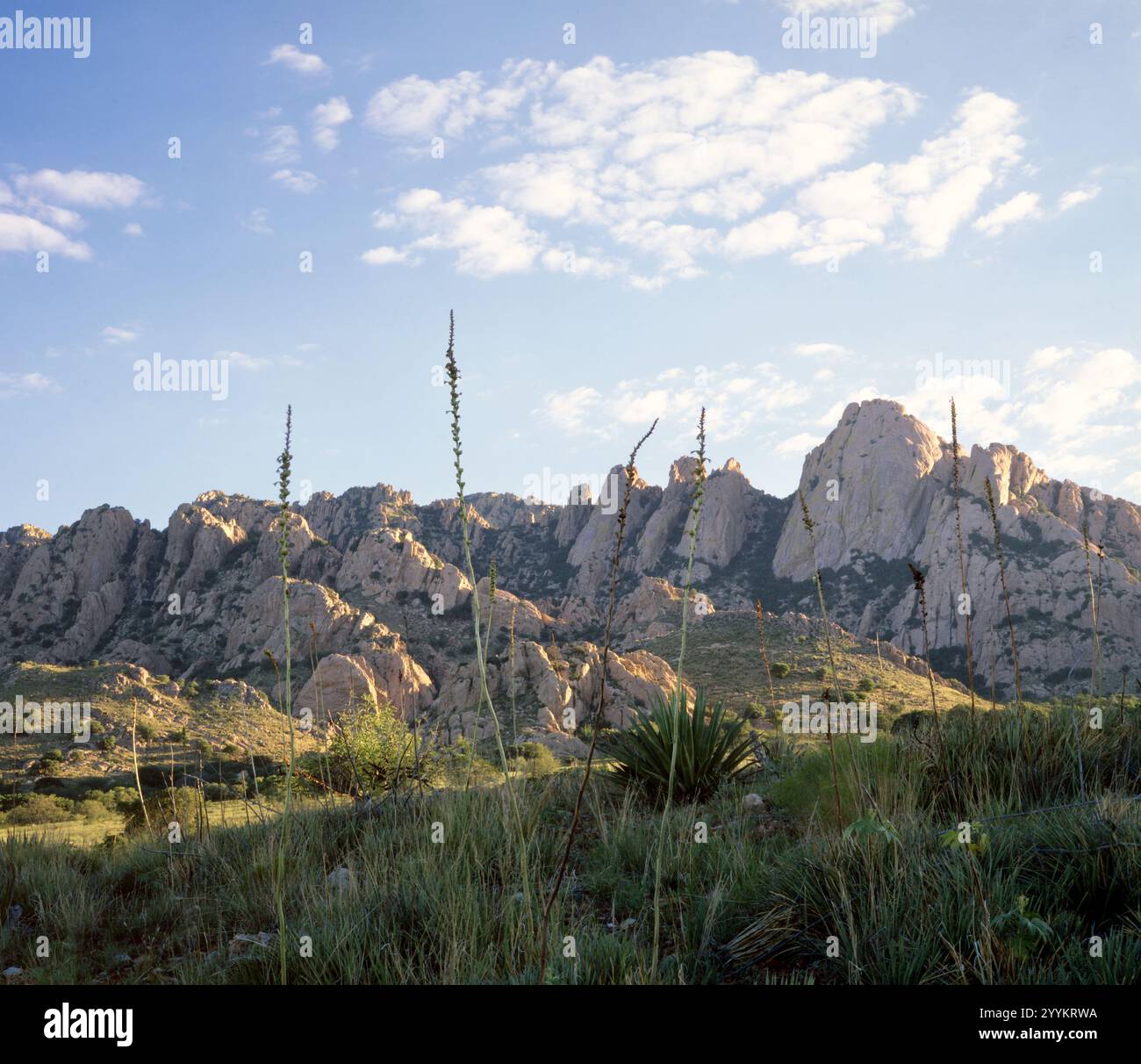 A view of the west side of the Dragoon Mountains in Southern Arizona ...