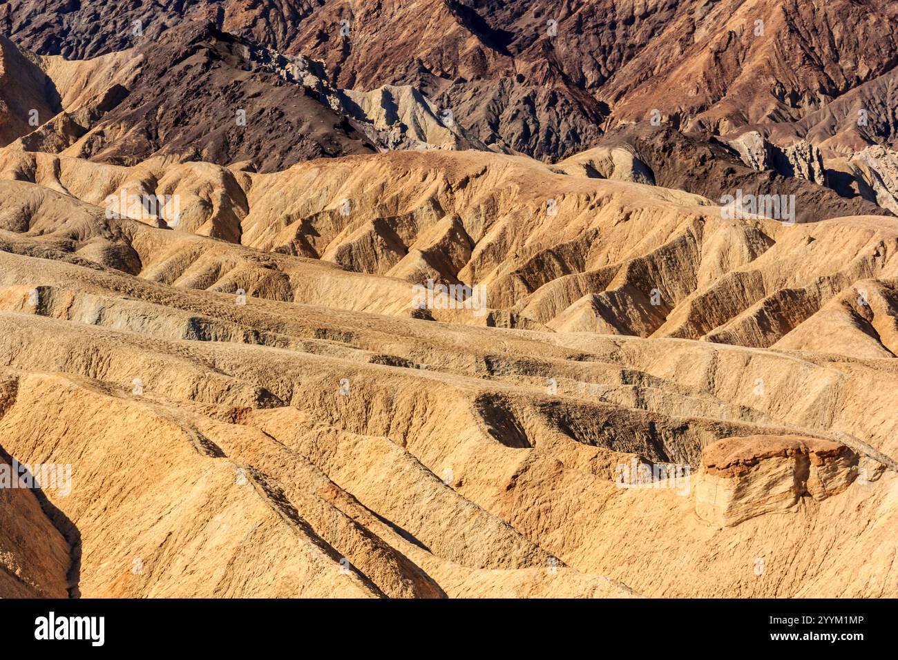 A desert landscape with a mountain in the background. The image has a ...