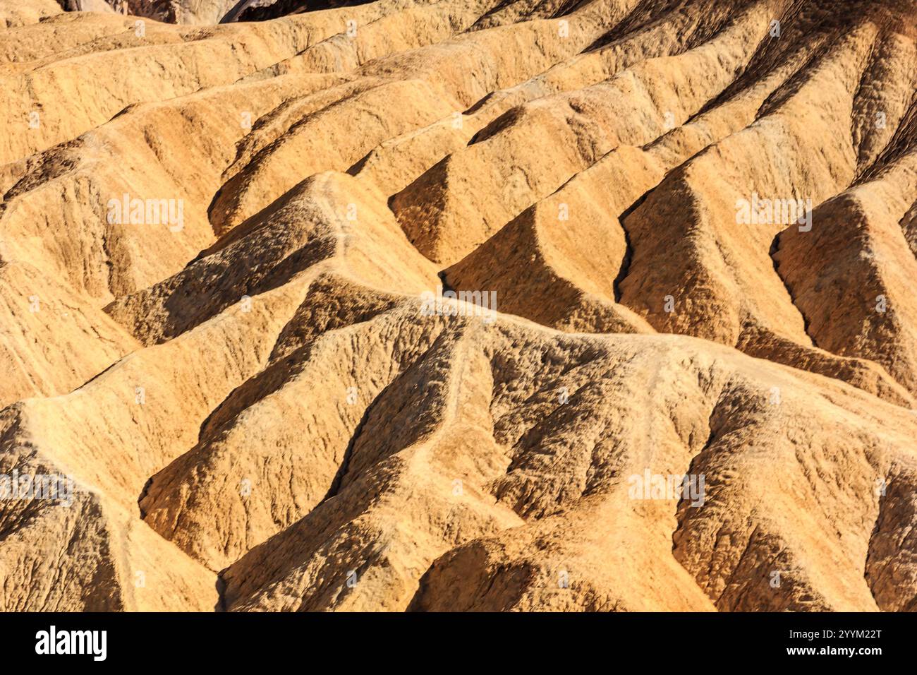A desert landscape with a lot of sand and rocks. The sun is shining ...