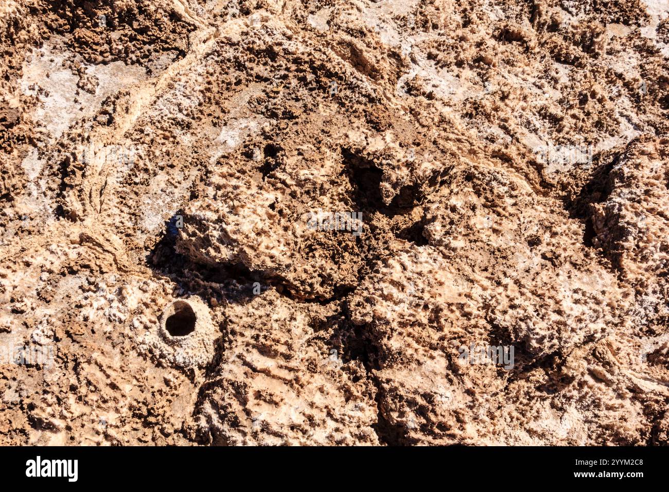 A rocky, sandy area with a hole in the ground. The hole is surrounded ...