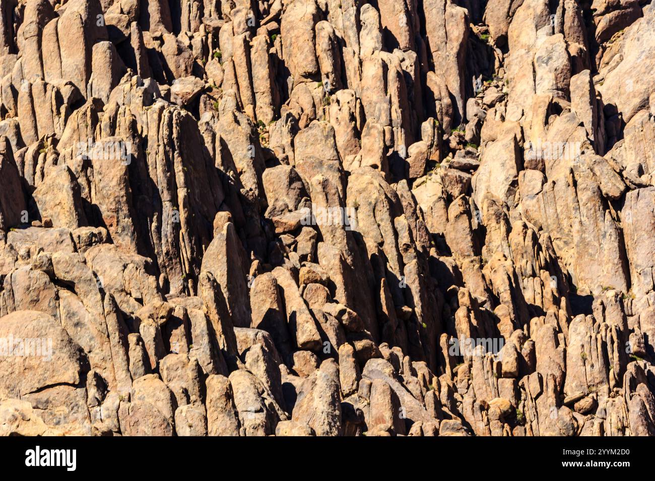 A rocky mountain with a lot of rocks and a few plants. The rocks are ...