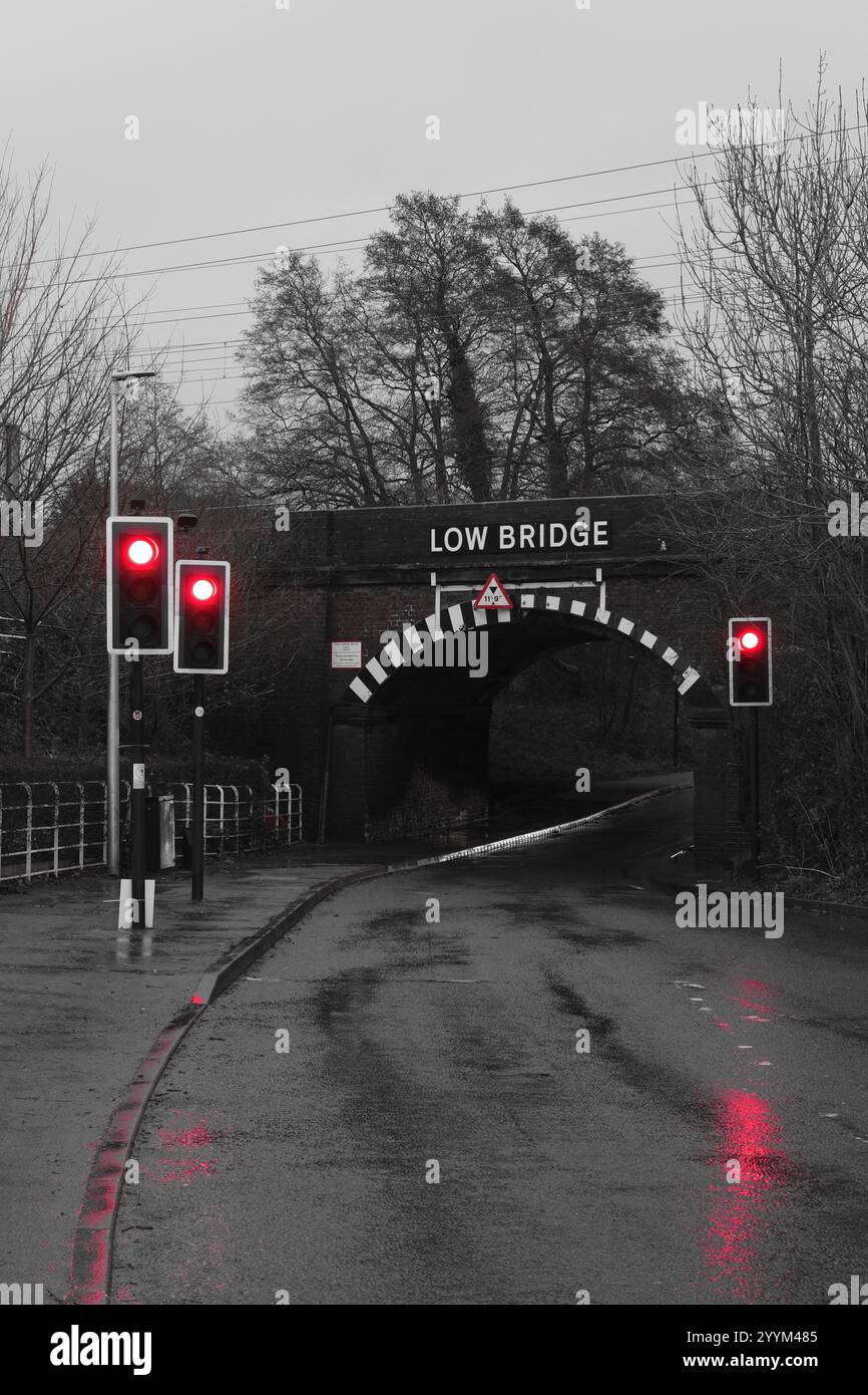 Three traffic lights on red in front of a low railway bridge UK Stock ...