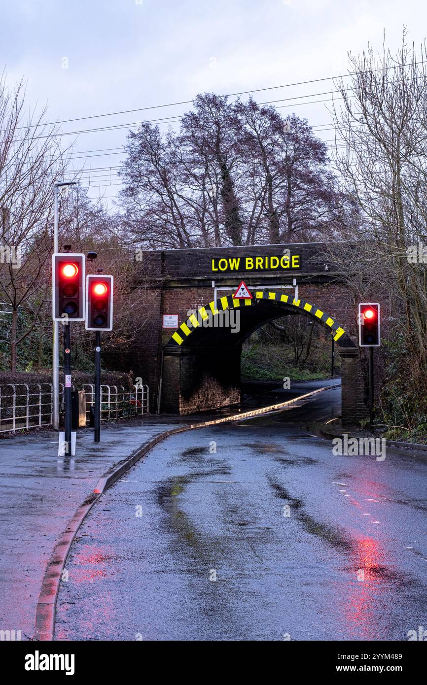 Three traffic lights on red in front of a low railway bridge UK Stock ...