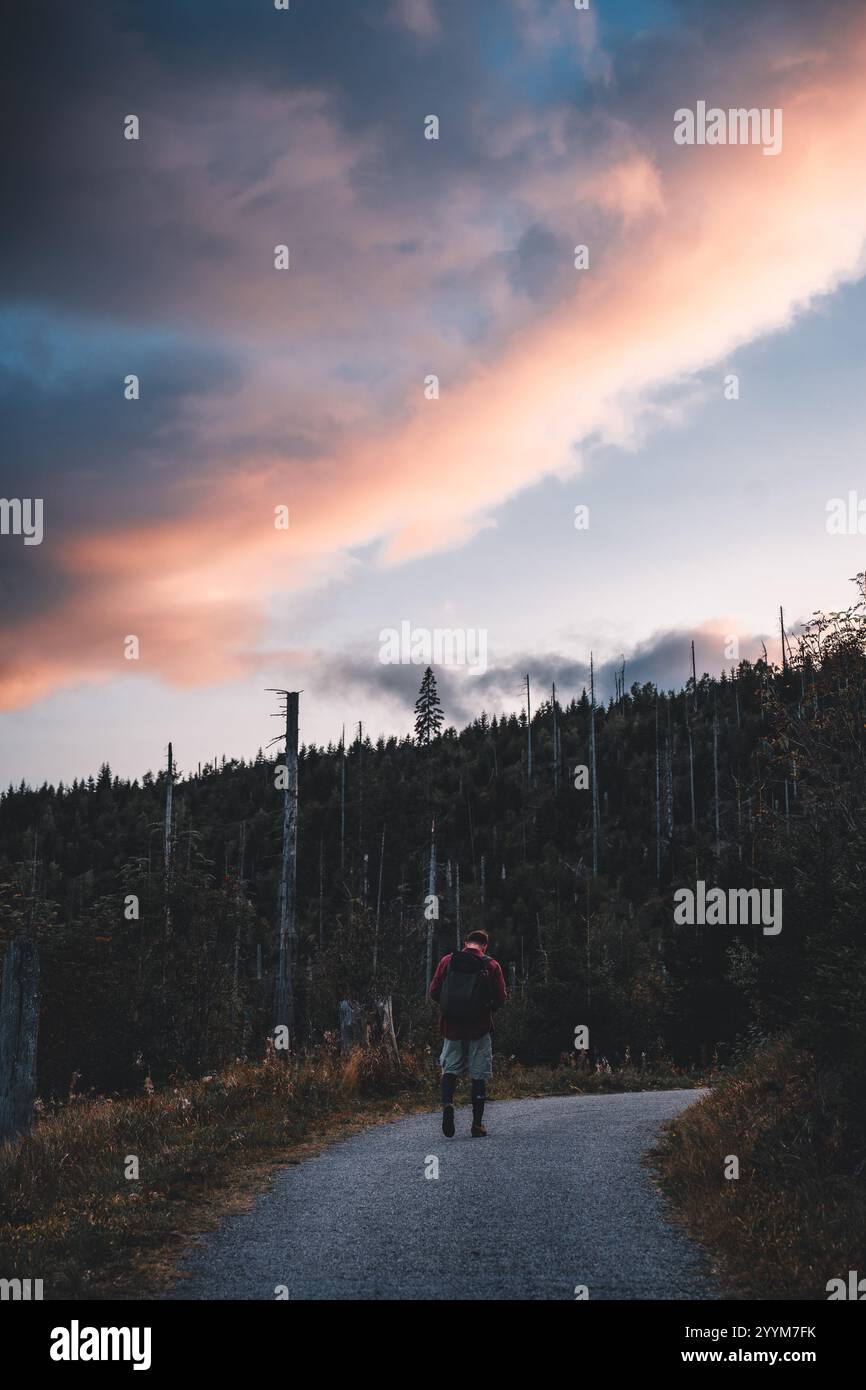 An individual leisurely walking down a winding path while a stunning ...