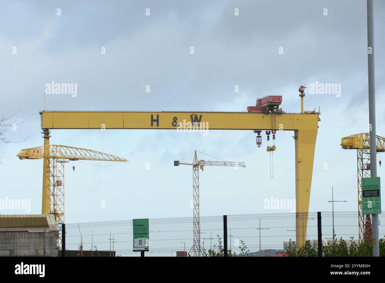 Image of the twin shipbuilding gantry cranes located in the Harland and ...