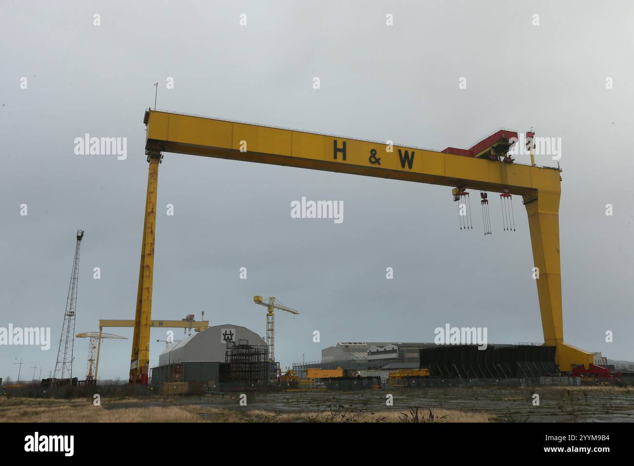 Image of the twin shipbuilding gantry cranes located in the Harland and ...