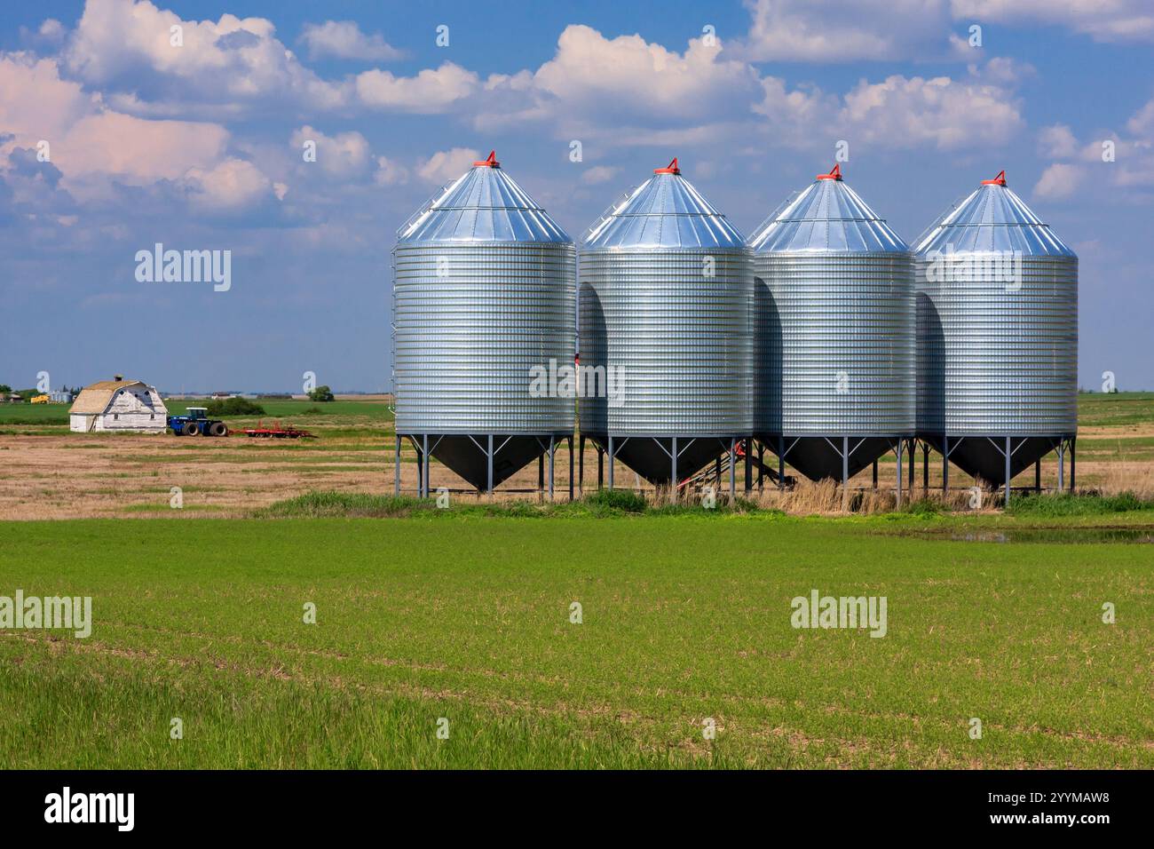 A field with four silos and a tractor. The silos are empty and the ...