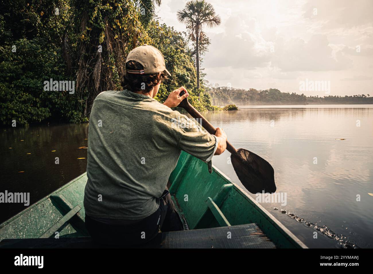 Explorer rowing on a canoe in the amazon rainforest during sunset Stock Photo - Alamy