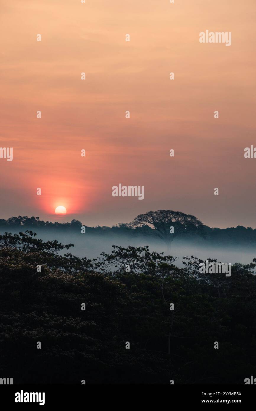 Sunrise Over Amazon Rainforest in Puerto Maldonado, Peru Stock Photo ...