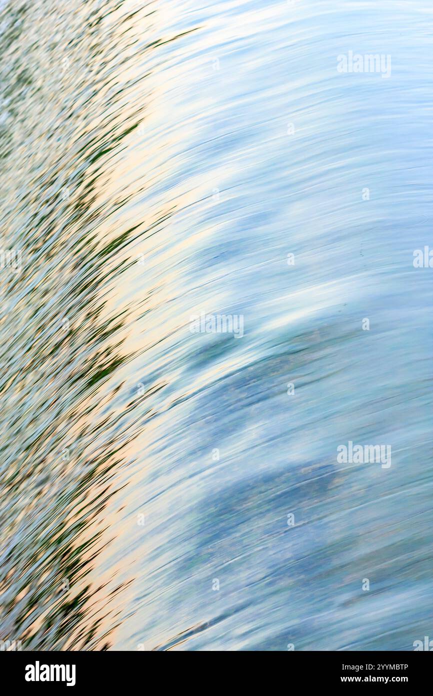 A body of water with a reflection of a tree in the water. The ...