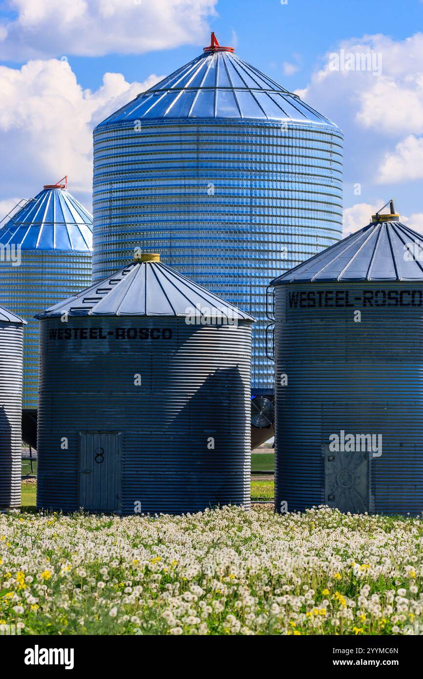 Three large steel silos are in a field with a blue sky in the ...