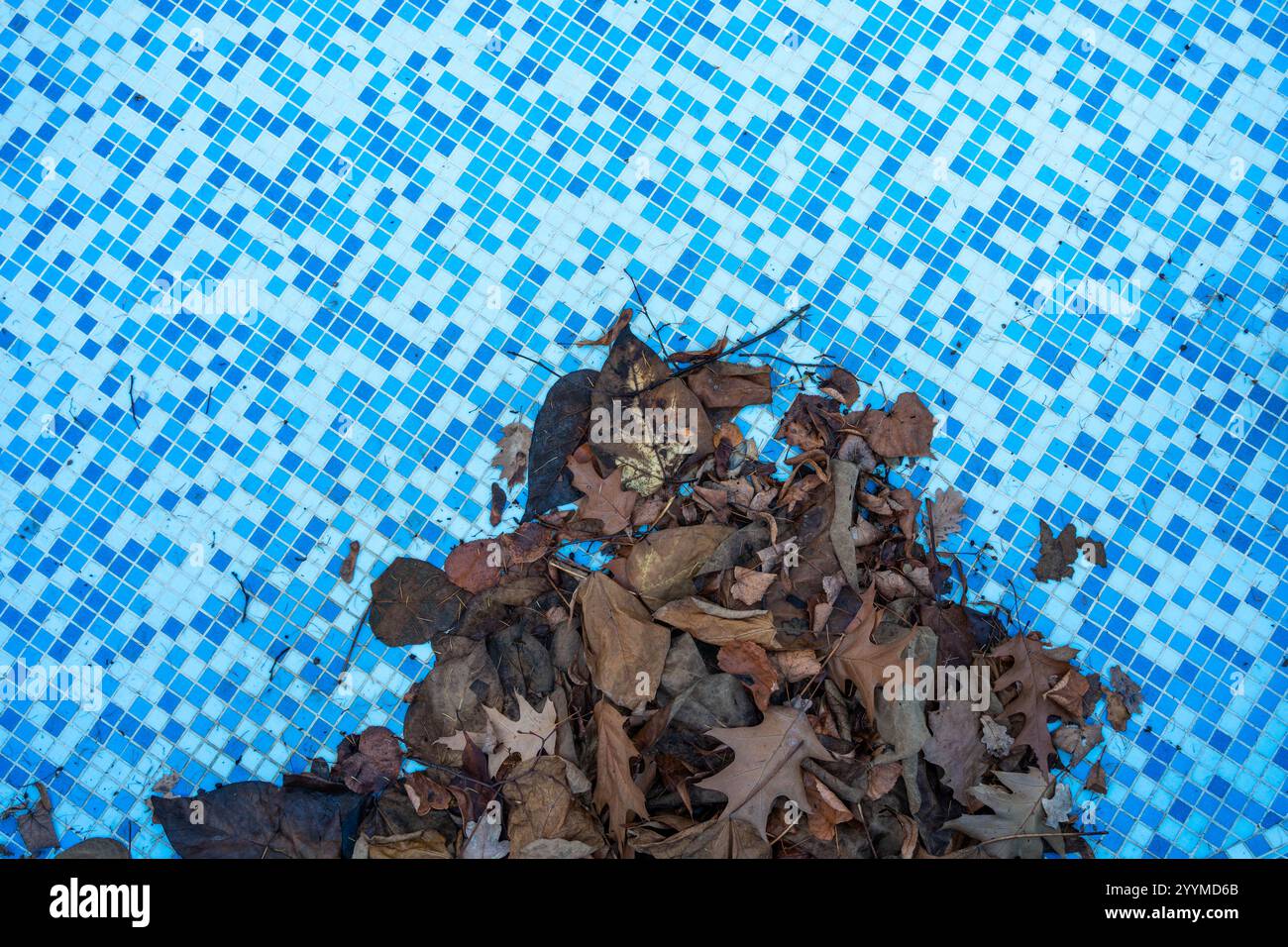 Autumn Leaves in an Empty Pool Stock Photo - Alamy