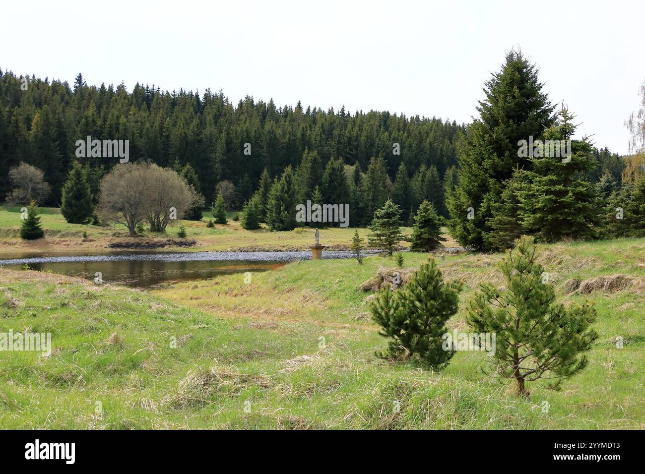 landscape and Reservoir in front of the Flaje dam in the Czech Republic ...