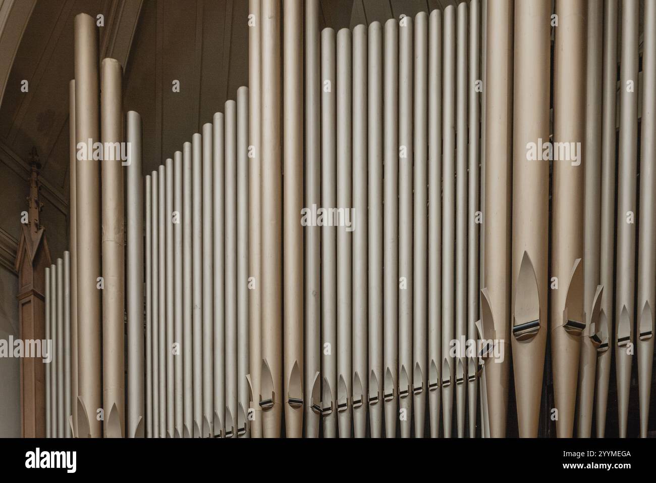 A row of long, thin, white pipes, possibly part of a pipe organ. The ...