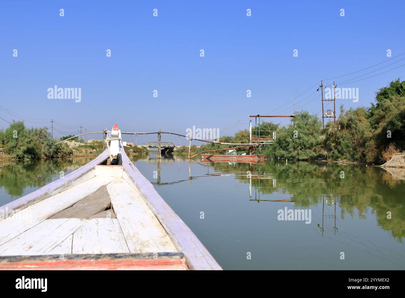 a boat trip in the marshlands of iraq near Chibayish, Chabaish ...