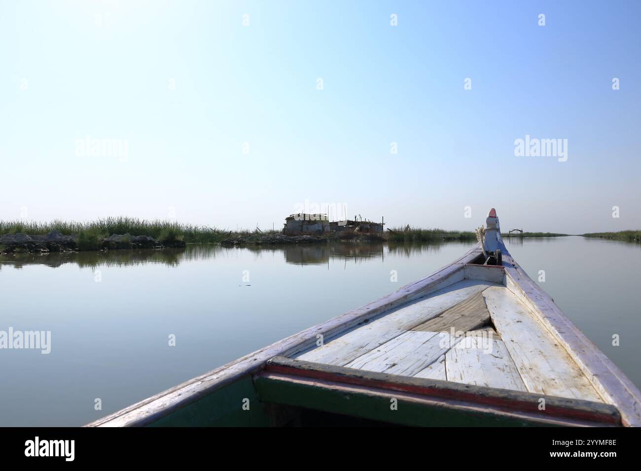 a boat trip in the marshlands of iraq near Chibayish, Chabaish ...
