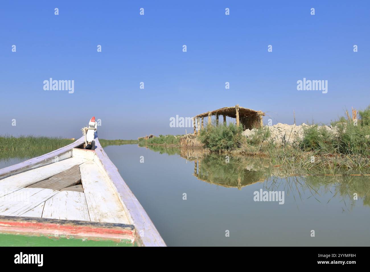 a traditional reed house in the iraq marshlands near Chibayish ...