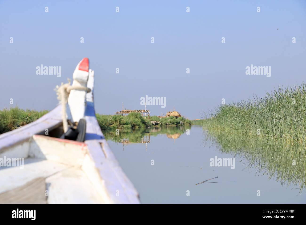 a traditional reed house in the iraq marshlands near Chibayish ...