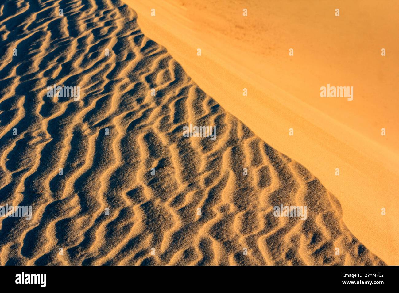 Tan spot hi-res stock photography and images - Alamy