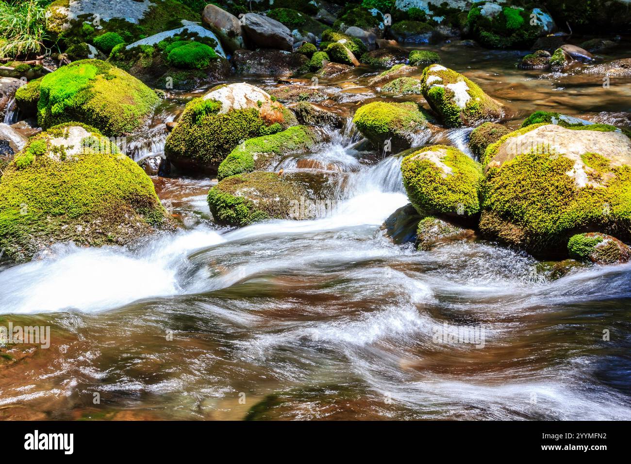 Stream water flows past rocky hi-res stock photography and images - Alamy