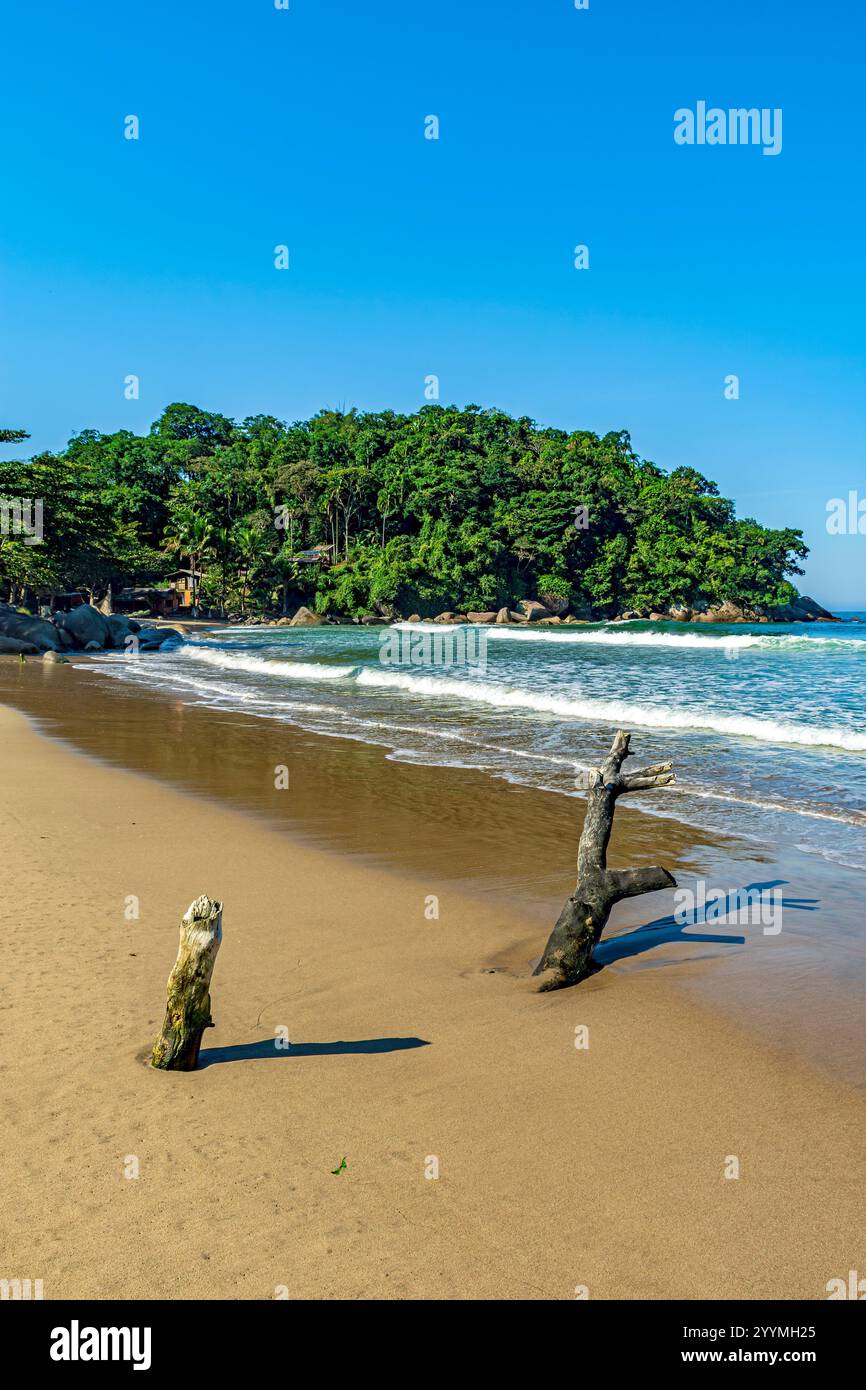 Paradisiacal Castelhanos beach surrounded by hills and forests on the ...