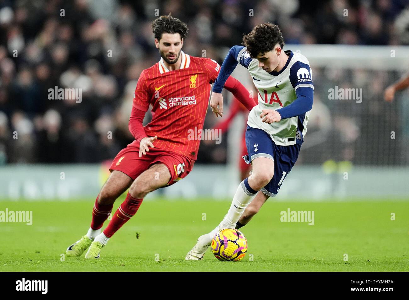 Tottenham Hotspur's Archie Gray (right) and Liverpool's Dominik ...