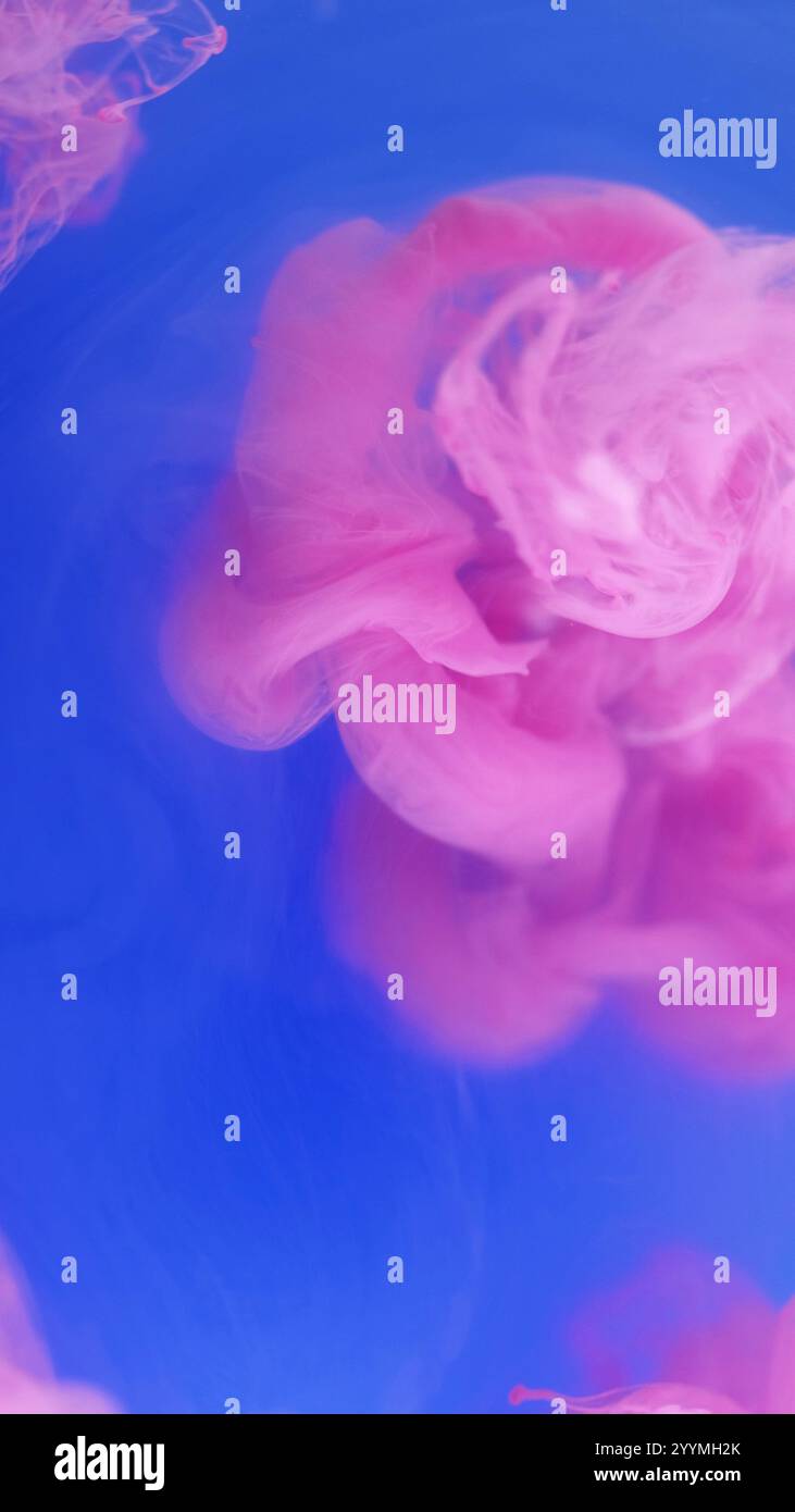 Acrylic paint. Pigment underwater. Defocused bright pink blue splash ...