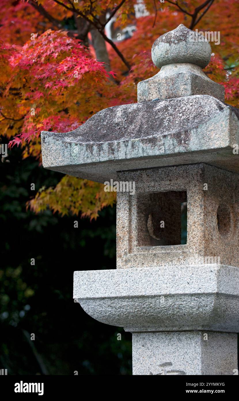 Bright red autumn maple trees highlight Tenryuji Hachimangu Shinto ...