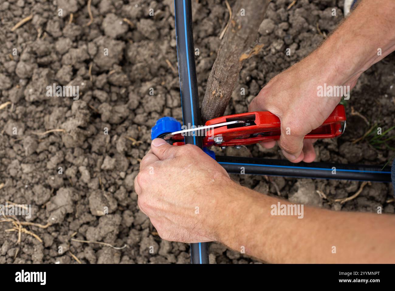 man cuts a plastic pipe with pipe cutters. installation of an automatic ...