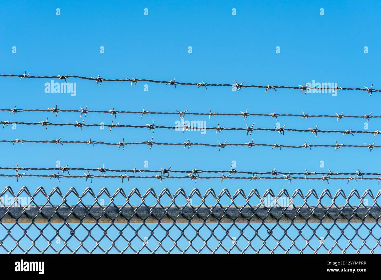 Chain link fence with barbed wire and blue sky Stock Photo - Alamy