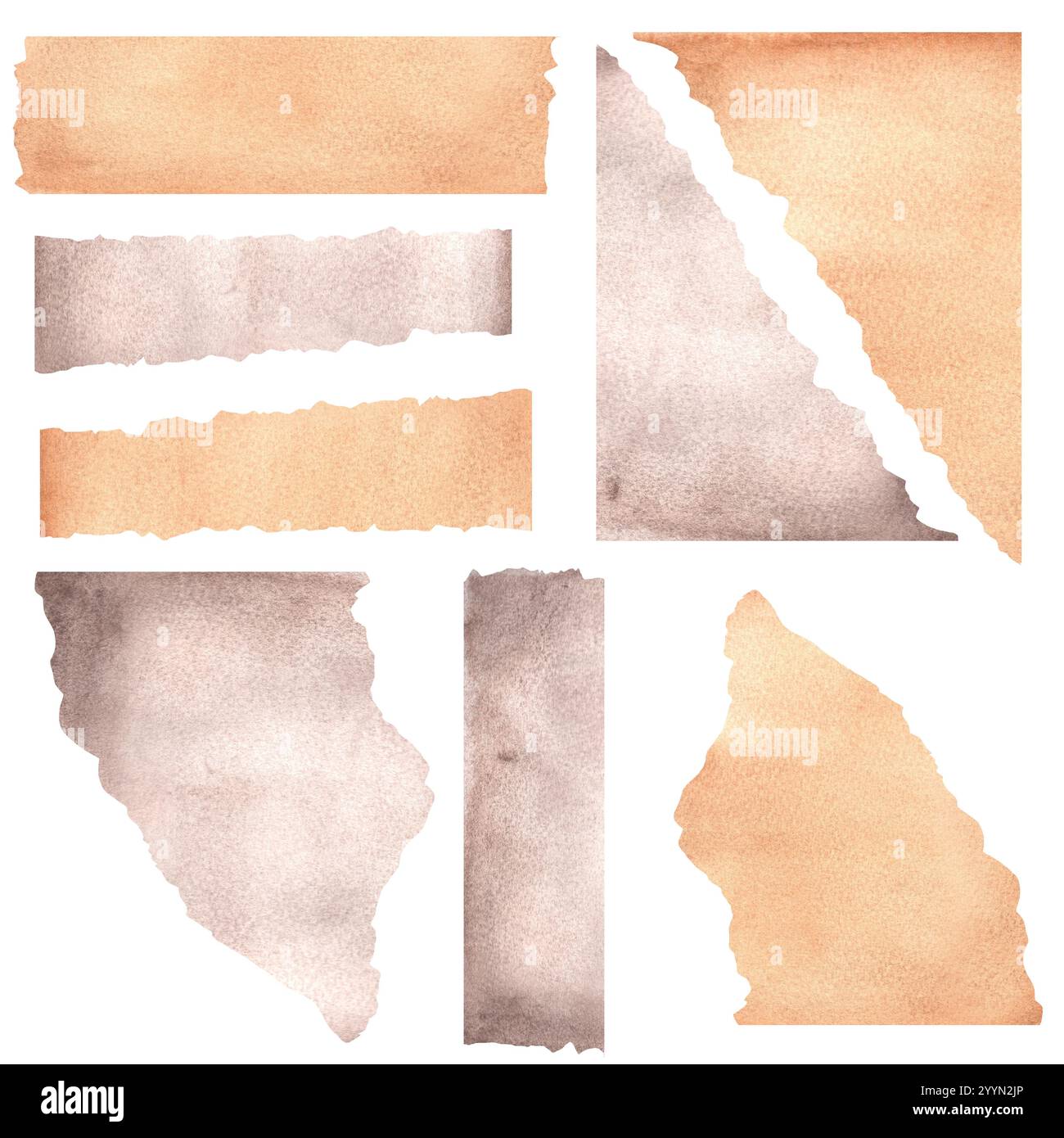 A bundle of ripped paper pieces for scrapbooking design. Clipart ...