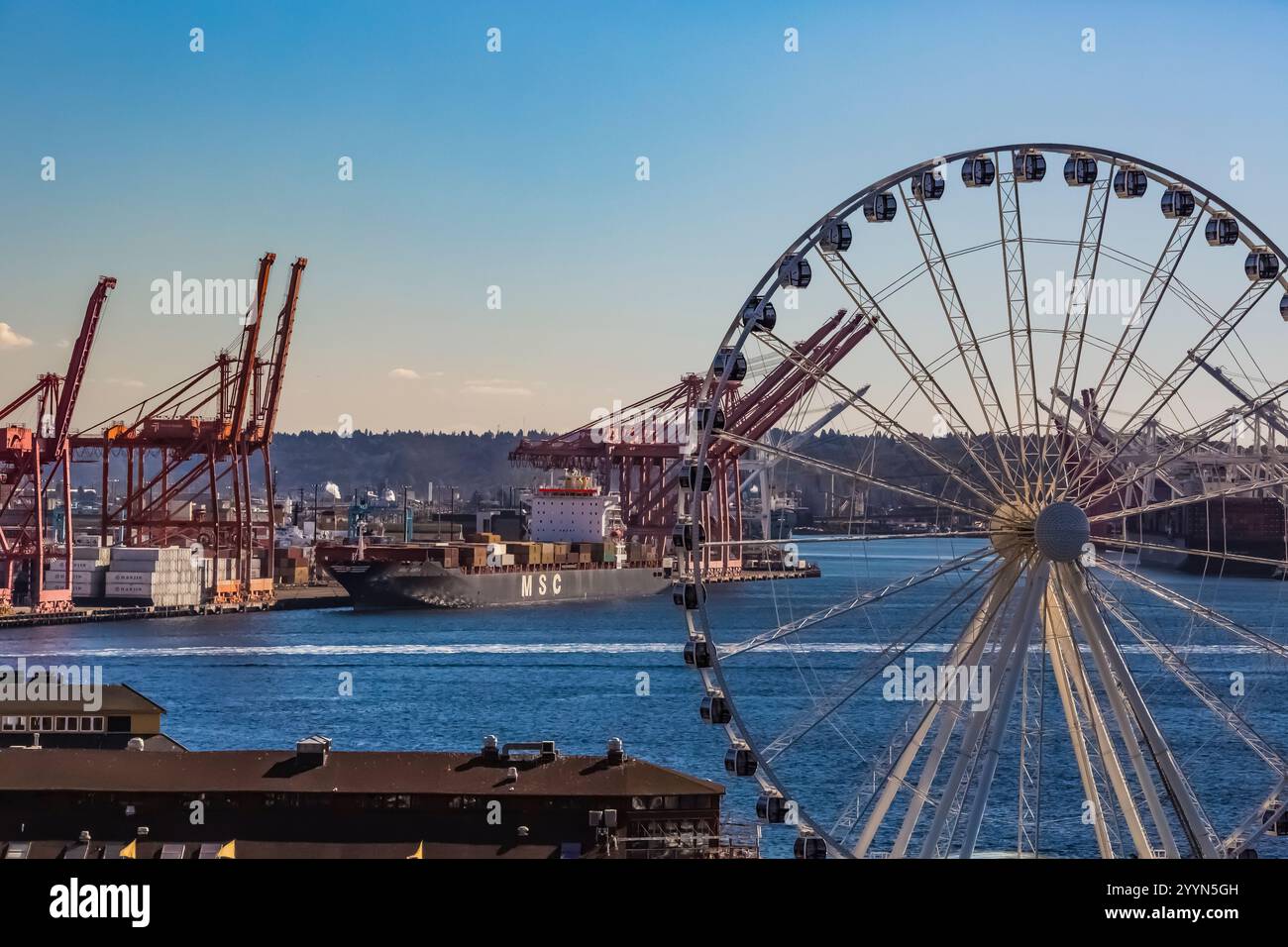 Seattle Great Wheel and cranes for loading ships in Seattle, Washington ...